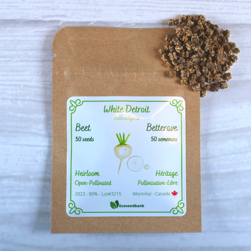 White Detroit - Beet Seeds | Ecoseedbank Canada