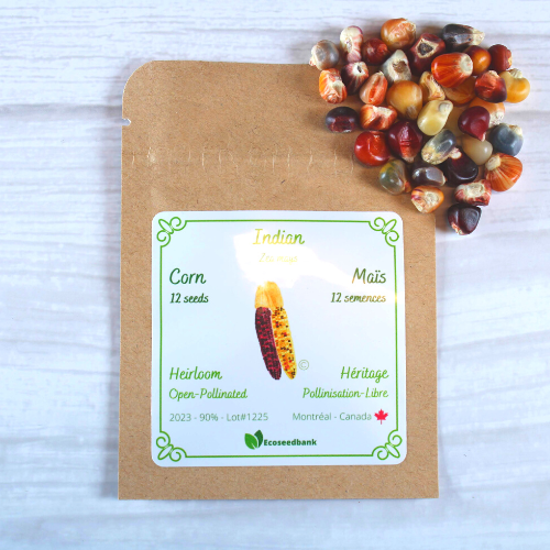 Indian - Corn Seeds | Ecoseedbank Canada