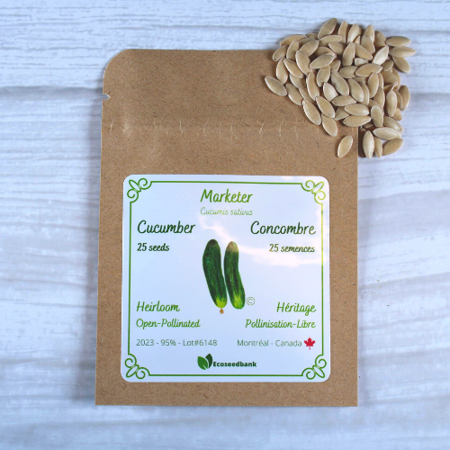 Marketer - Cucumber Seeds | Ecoseedbank Canada