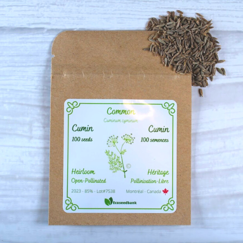 Common - Cumin Seeds | Ecoseedbank Canada