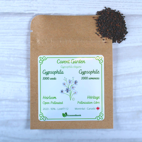 Covent Garden - Gypsophila Seeds | Ecoseedbank Canada