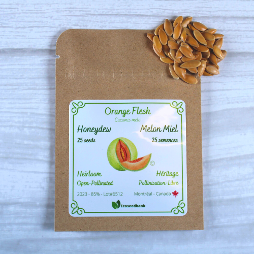 Orange Flesh - Honeydew Melon Seeds | Ecoseedbank Canada
