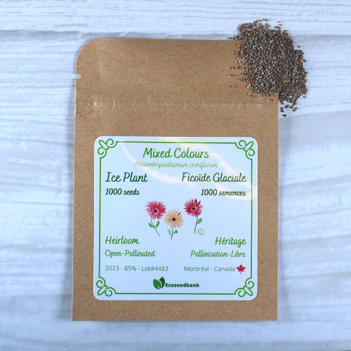 Mixed Colours - Ice Plant Seeds | Ecoseedbank Canada